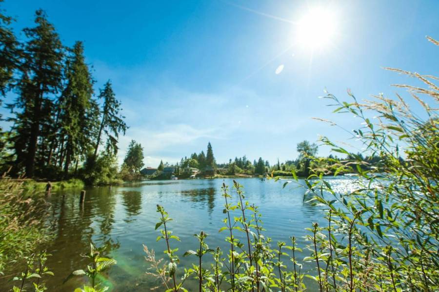 The Best Summer Destinations by… | Windermere Professional Partners