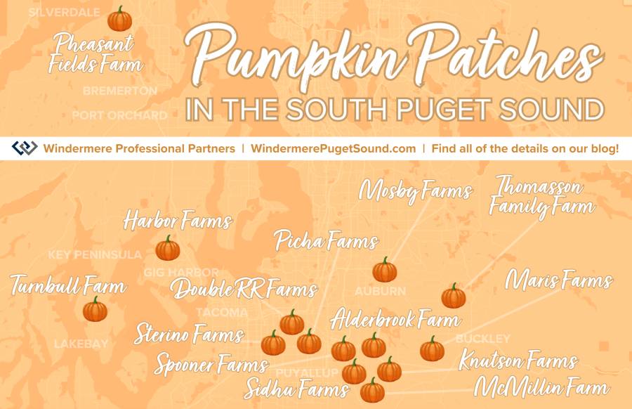 South Puget Sound Pumpkin Patches… | Windermere Professional Partners